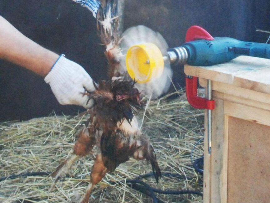 Насадка перосъемная птиц 24 пальца мтм