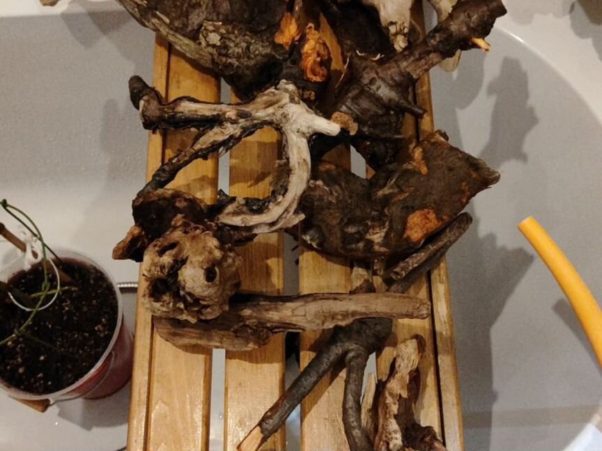Коряги для флорариума, растений, декора