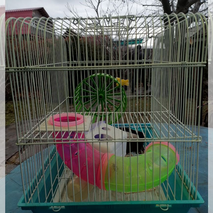 Клетка для грызунов бу