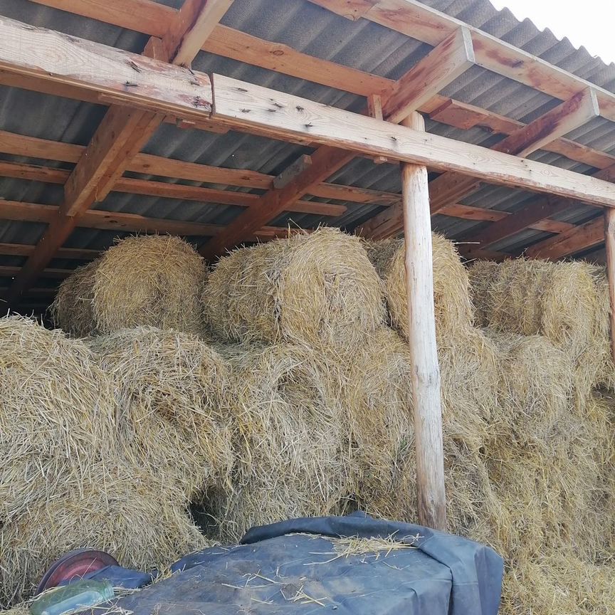 Продам солому в мини рулонах
