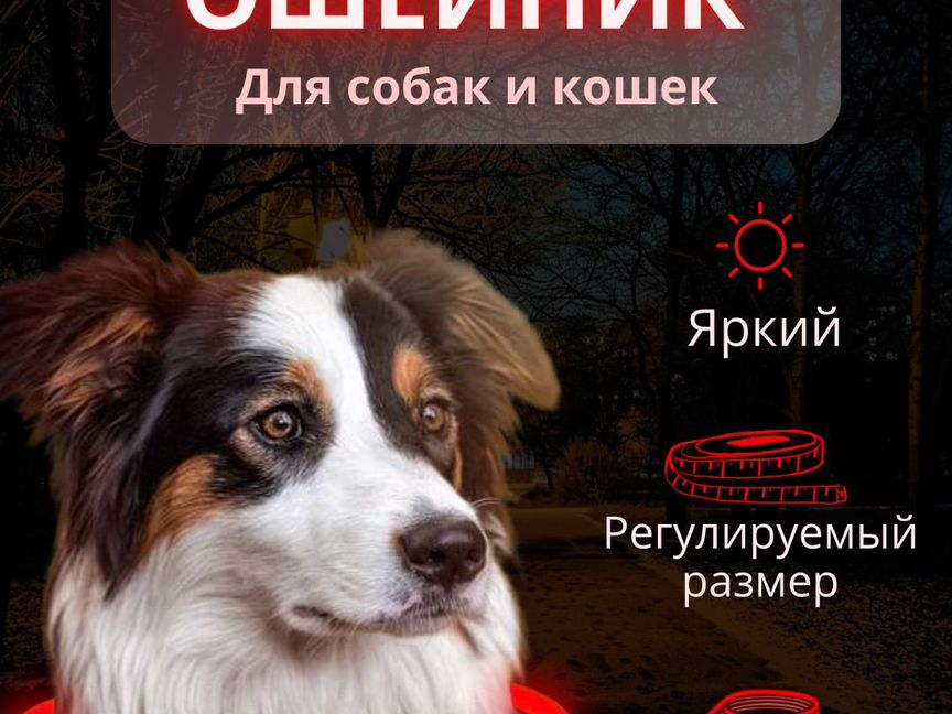 Светящийся ошейник для собак
