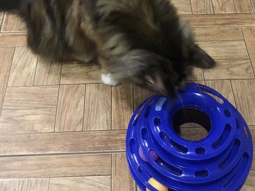 Игрушка для кошек