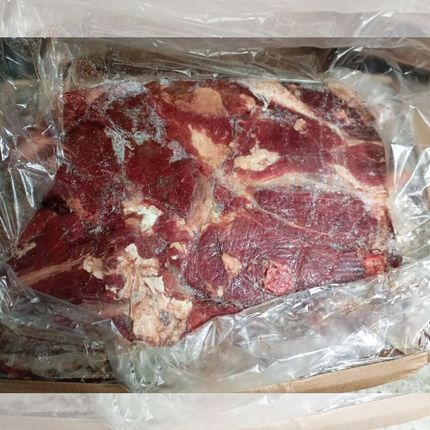 Мясо говядина для собак