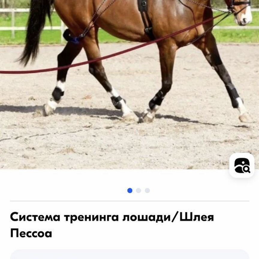Шлея пессоа для лошади