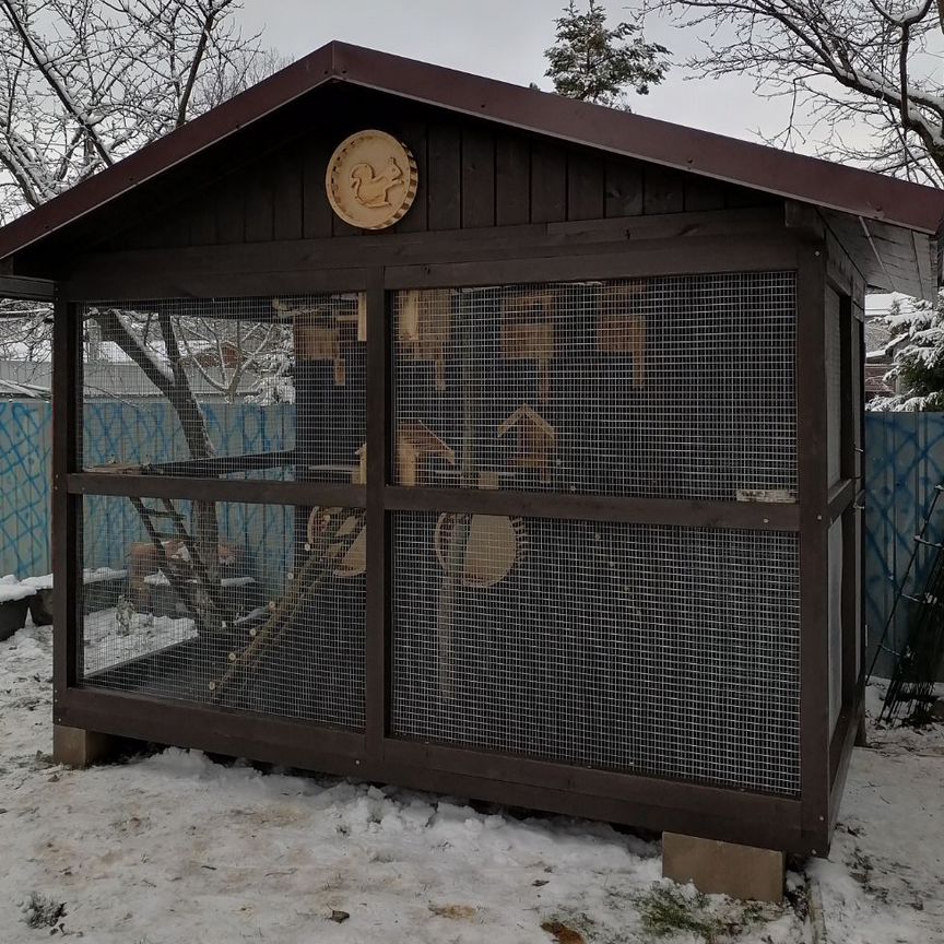 Вольер для белок прямой