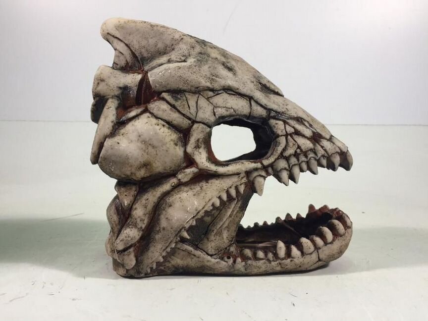 Грот череп новый