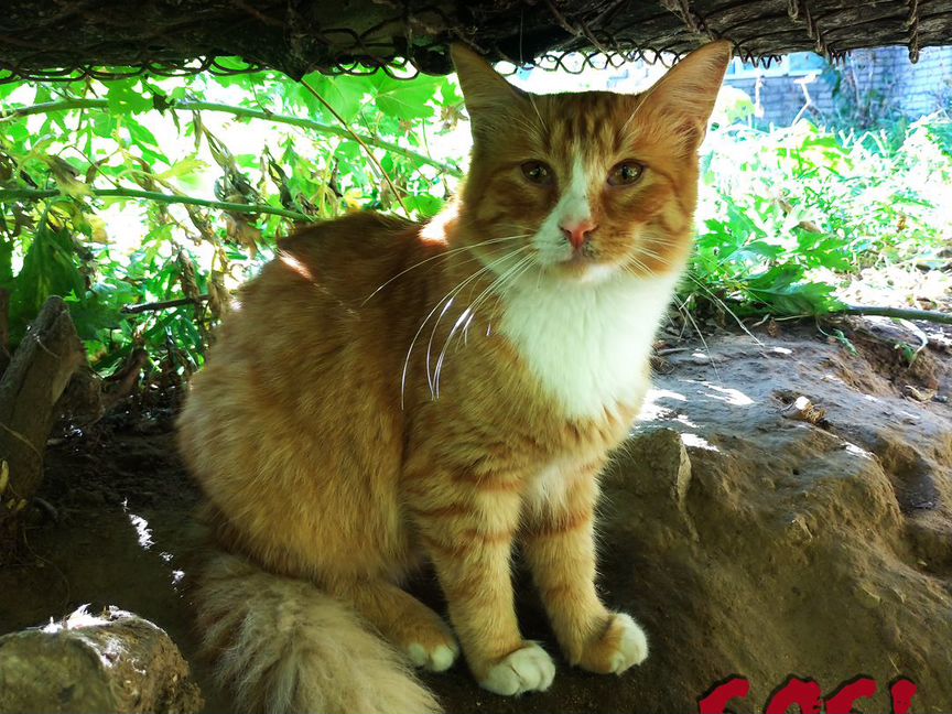 Даже надежды не осталось