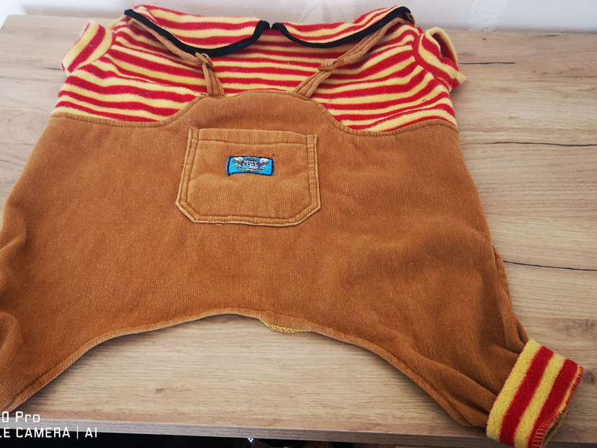 Одежда для собак мелких пород