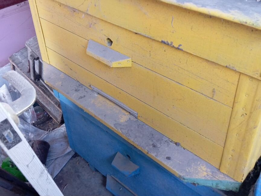 Ульи лежаки