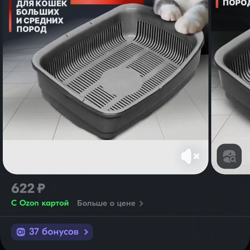 Лоток домик для кошек большой