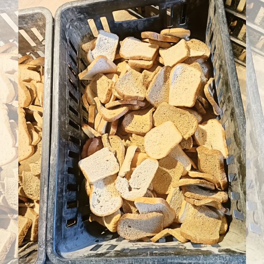 Сухари для животных