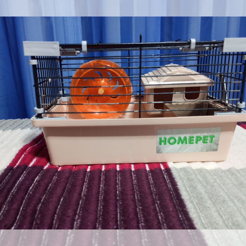 Клетка для джунгарика