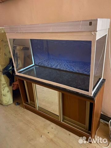 Большой аквариум