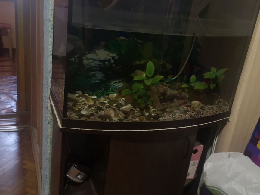 Аквариум с тумбой