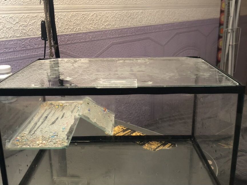 Акватеррариум для черепахи