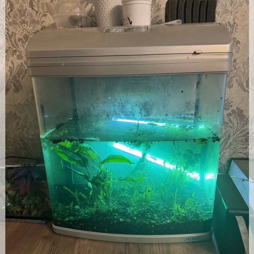 Аквариумы разных обьемов