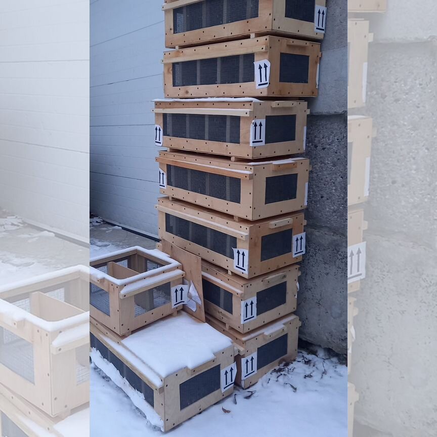 Продам ящики для перевозки кроликов