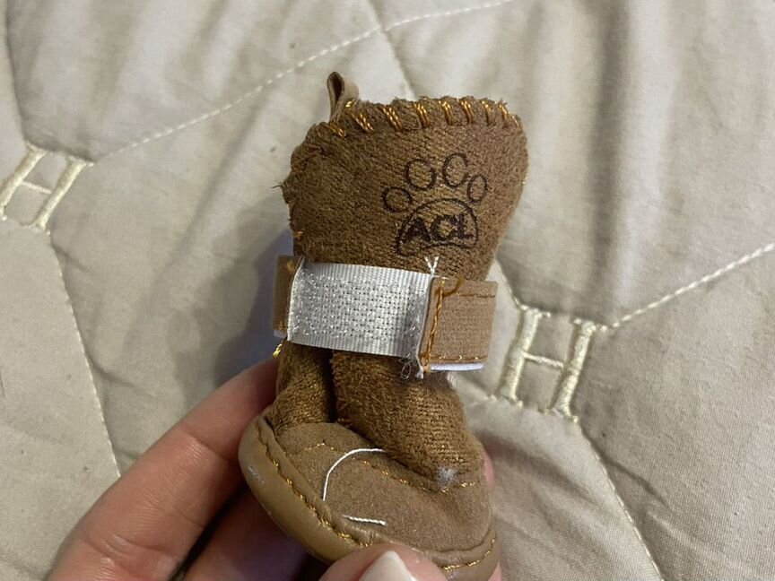 Обувь для маленьких собак