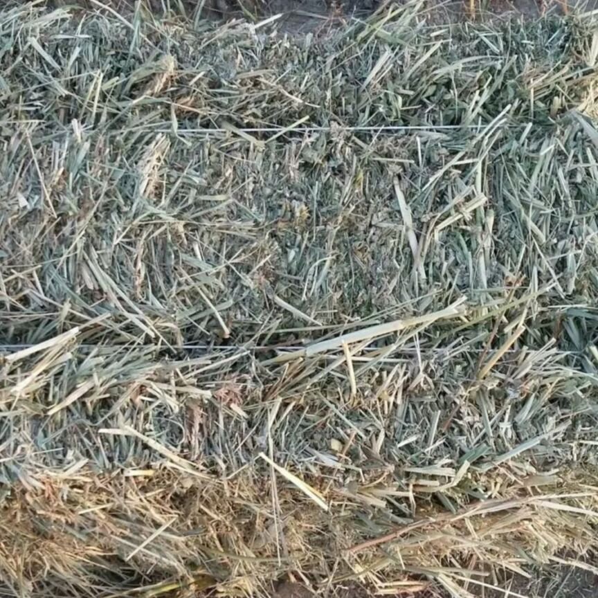 Сено в тюках