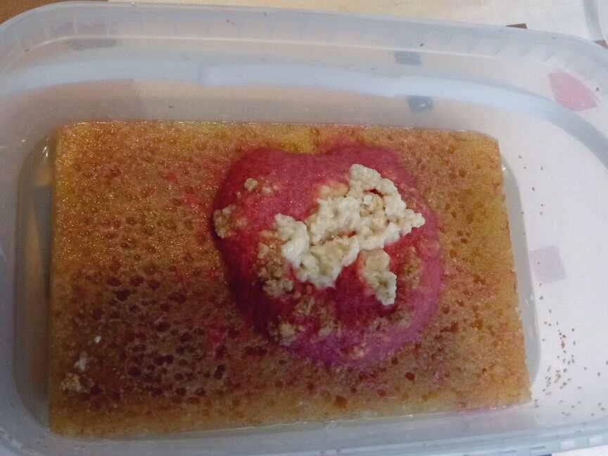 Израильский трубочник "Изя"