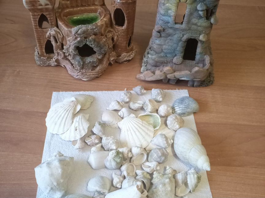 Атрибутика (ракушки, домики) для аквариума