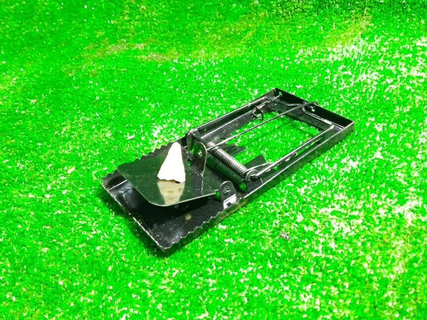 Мышеловка, крысоловка