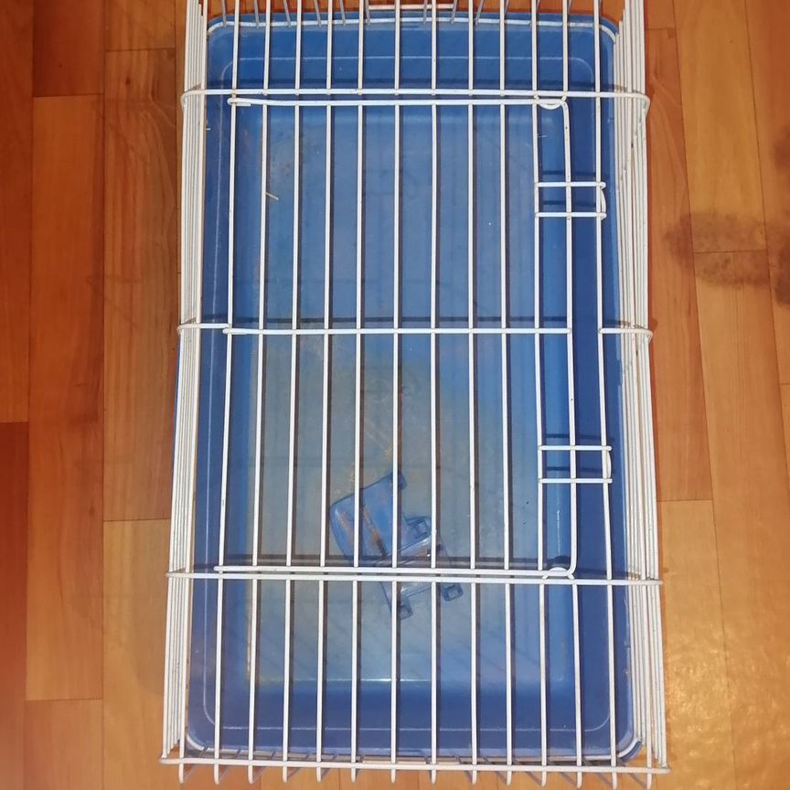 Клетка для ежа