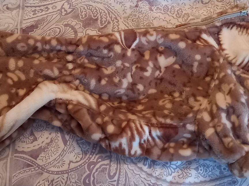 Флисовый комбинезон на таксу