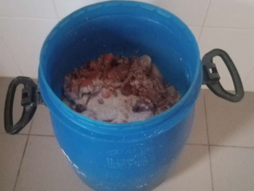 Пищевые отходы для животных