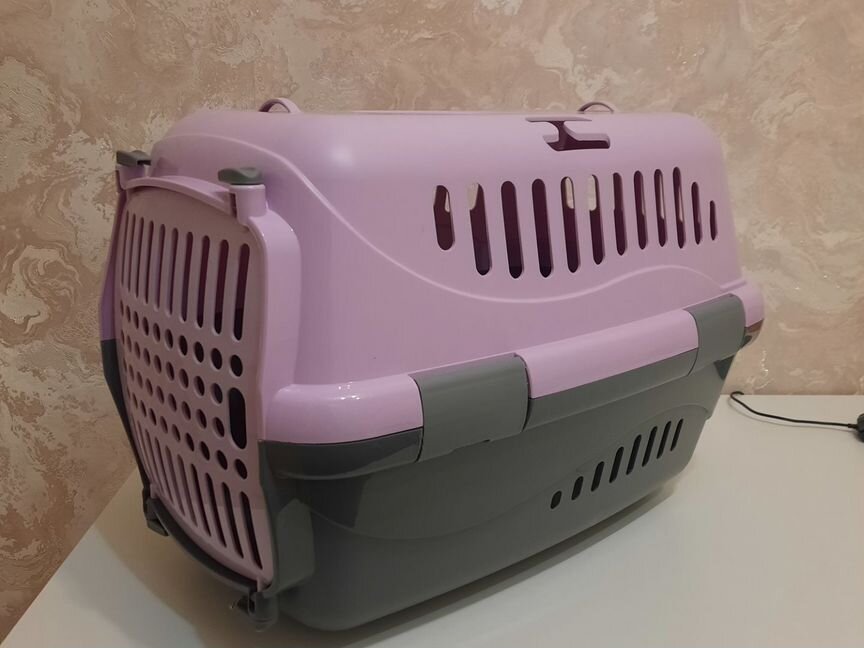 Переноска для кошек аренда