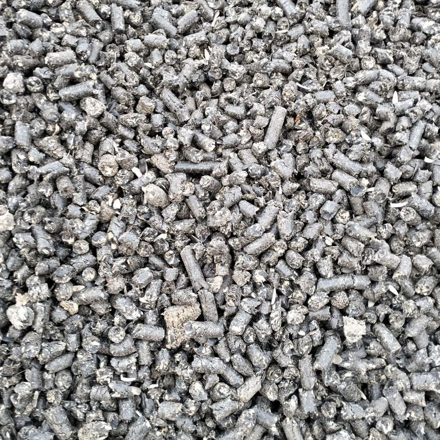 Гранула семечки