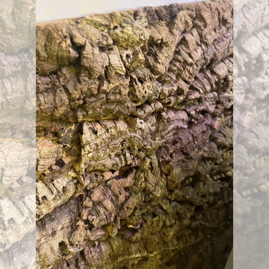 Фон для террариума 54 /54