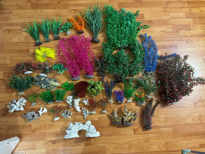 Аквариумные растения