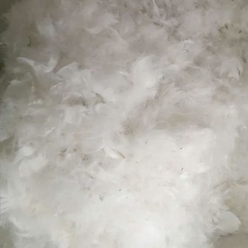 Пух гусиный