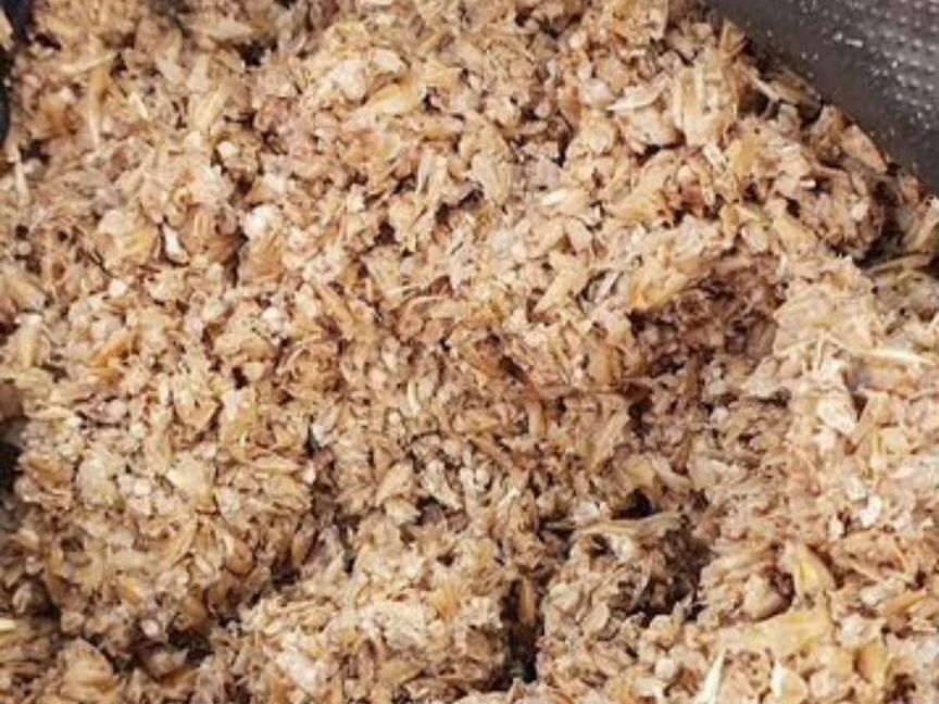 Пивная дробина свежая.Для животных