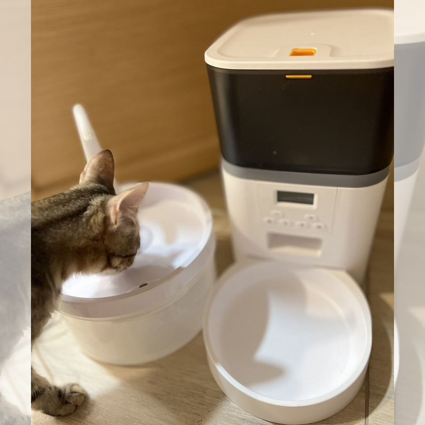 Кошачья поилка и автоматическая кормушка