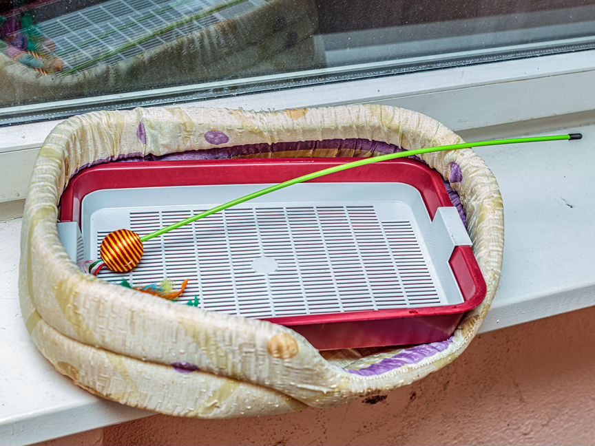 Лежанка лоток