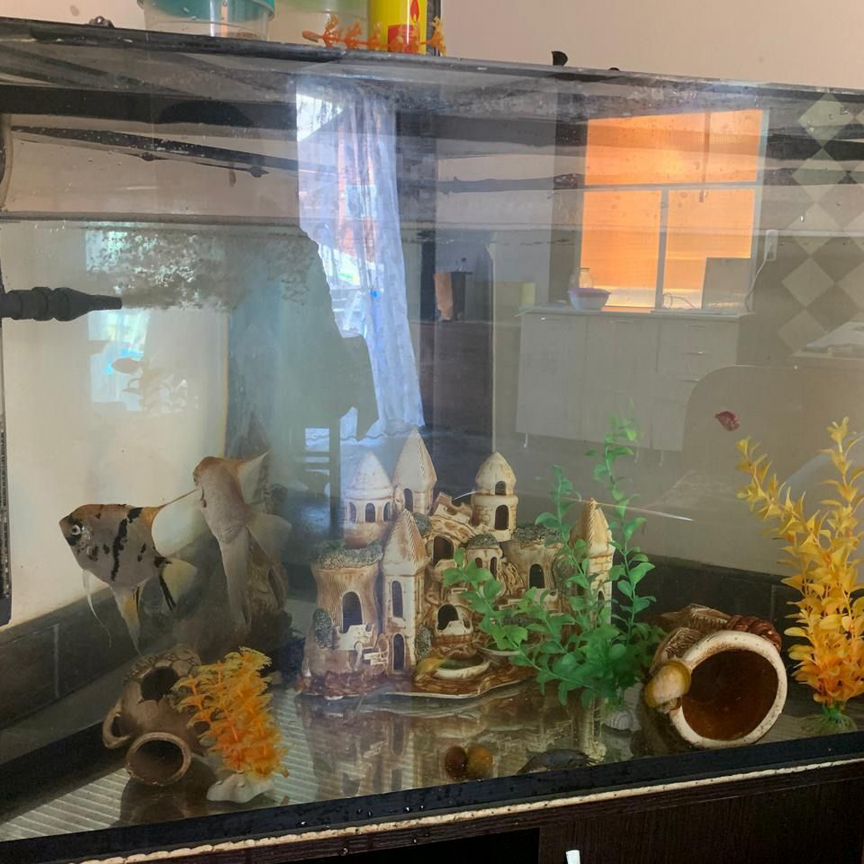 Аквариум
