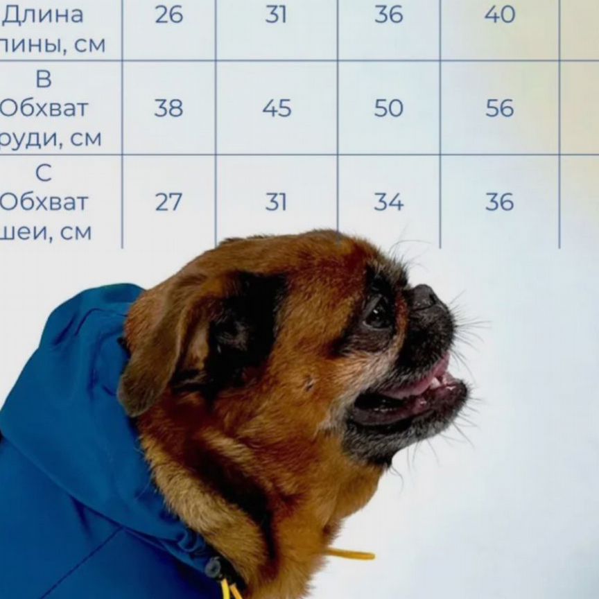 Комбинезон дождевик для собачки