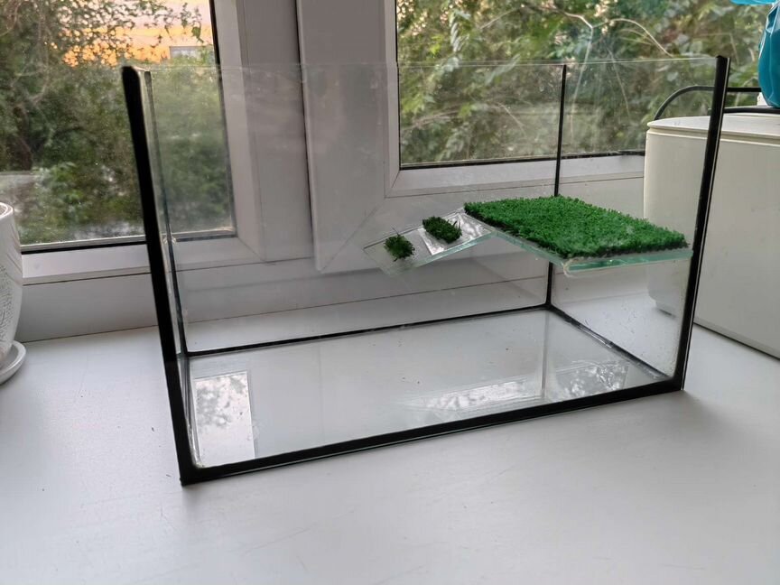 Террариум для черепахи