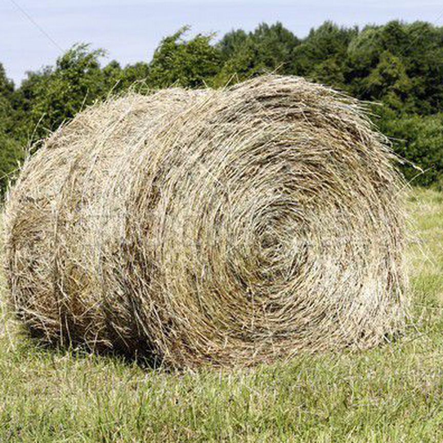 Сено в рулонах