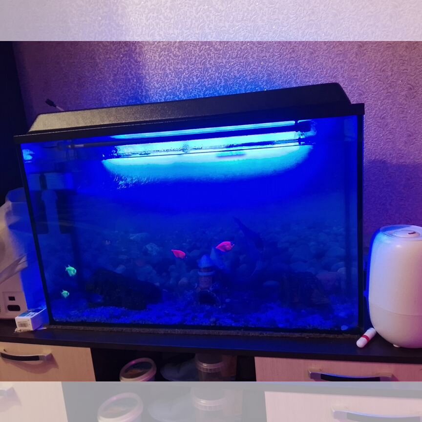 Аквариум 100 литров