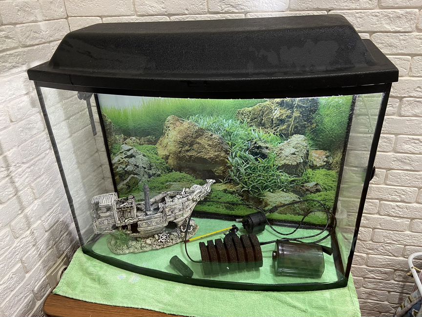 Аквариум 70 литров + содержимое
