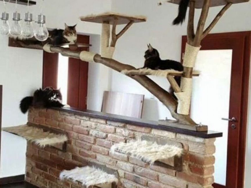 Когтеточка домик для кошки кота котенка