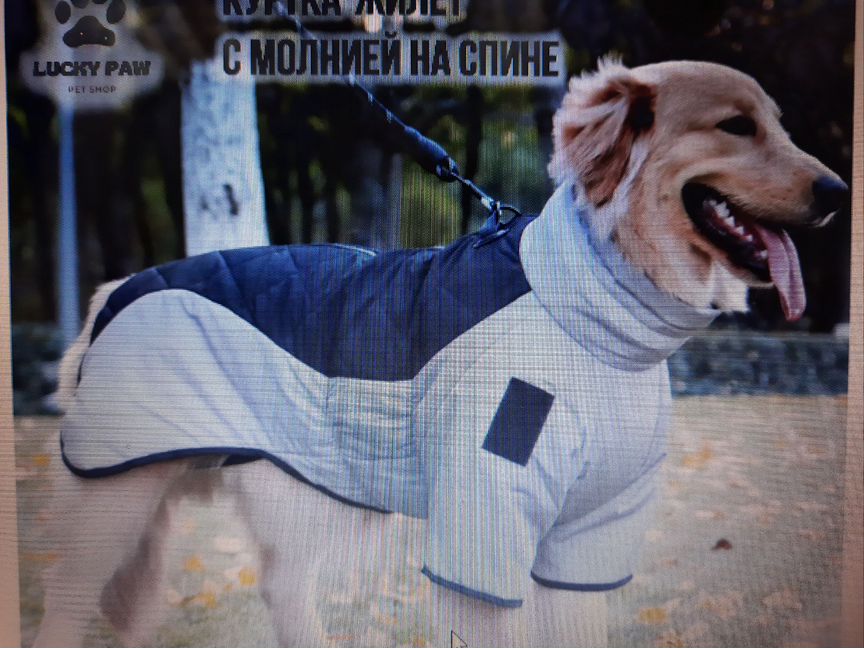 Жилет, курточка для собки крупной породы