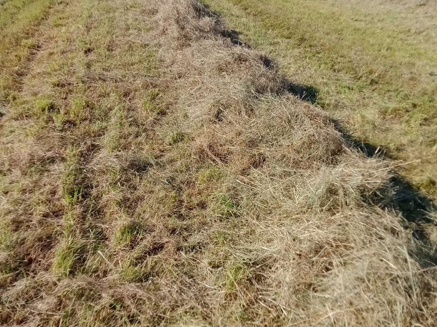 Сено в рулонах