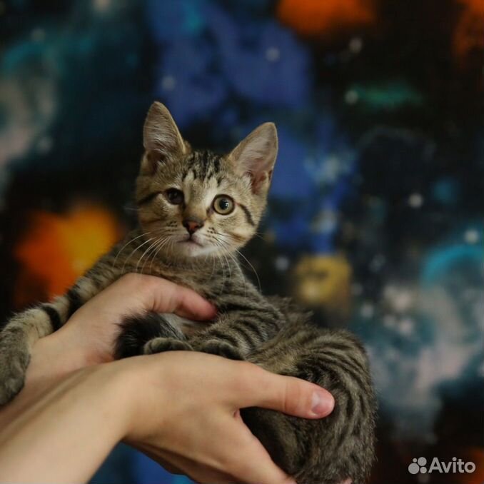 Особенная малышка Диди