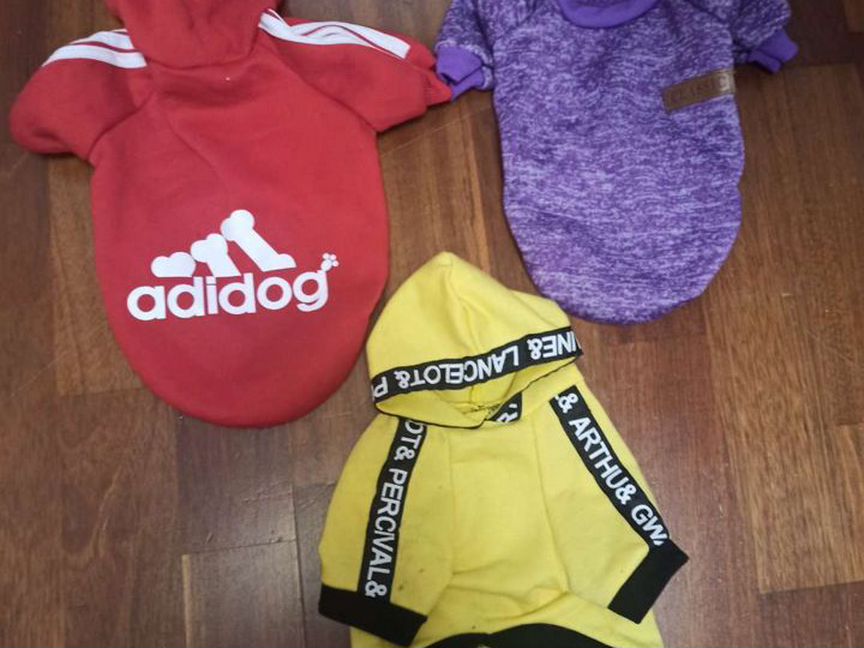 Одежда для собак мелких пород