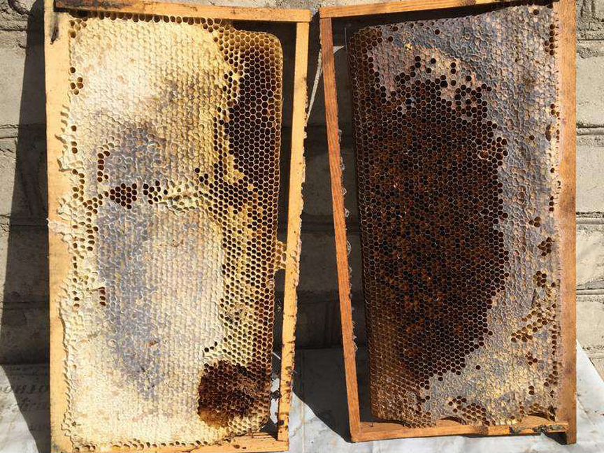 Продаётся сушь, ульи