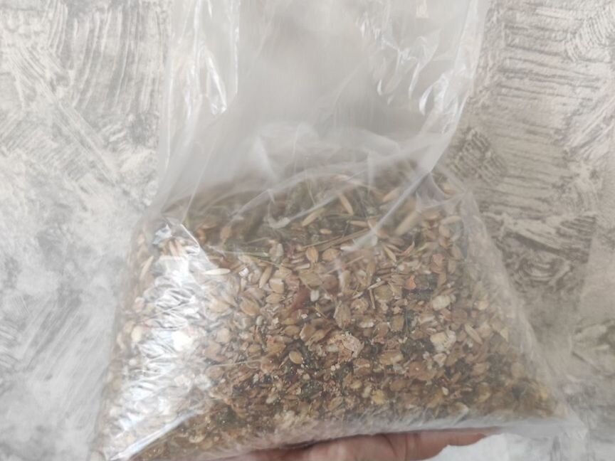 Корм для грызунов отдам за вкусняшку